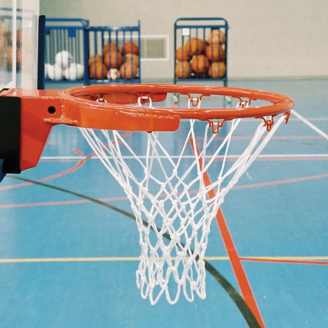 PROFESSIONAL ANTI-WHIP NET