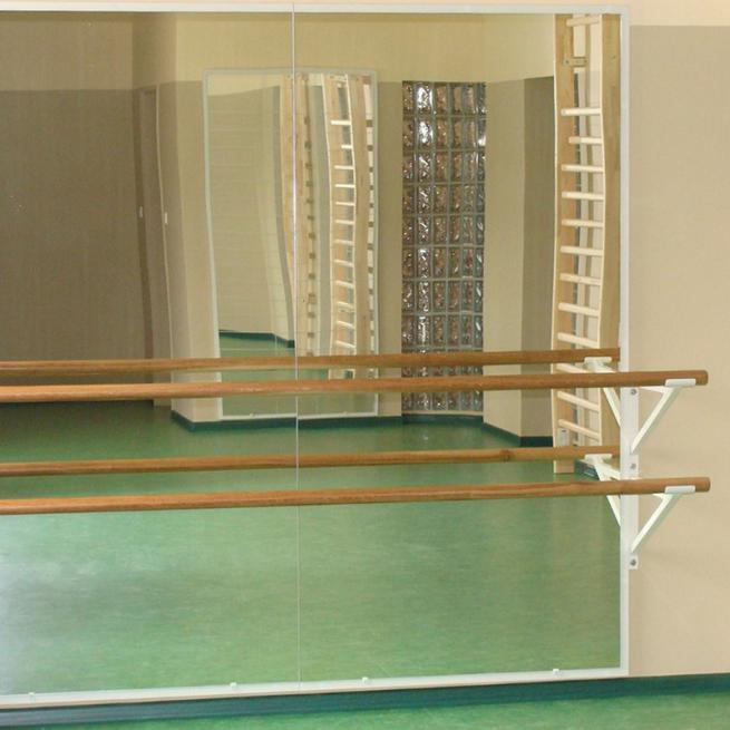 SMOOTH WALL MIRROR WITH DOUBLE HANDRAILS