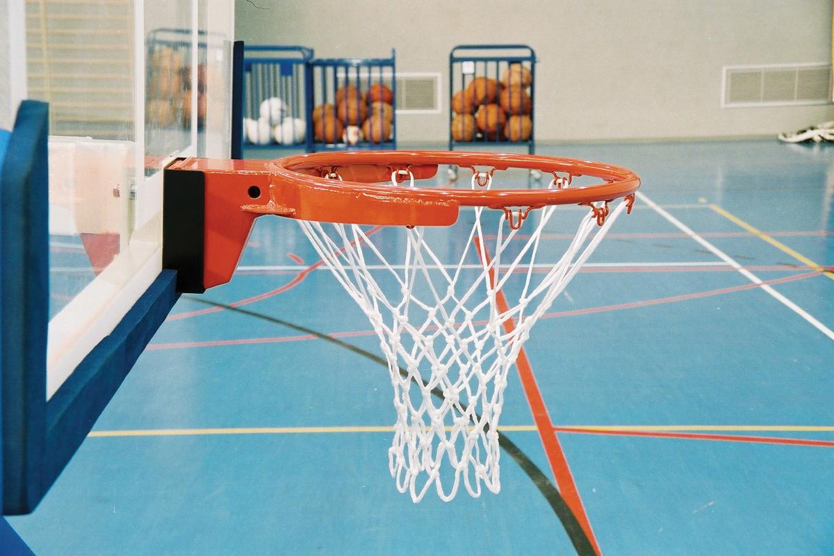 PROFESSIONAL ANTI-WHIP NET